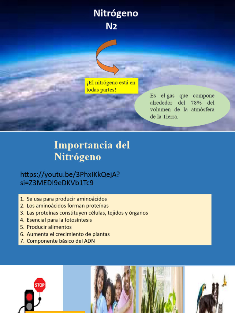 Ciclo Del Nitrógeno | PDF | Nitrógeno | Fertilizante