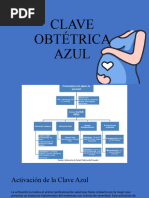 Protocolo Clave Azul en Obstetricia | PDF | Medicina CLINICA | Laboratorios