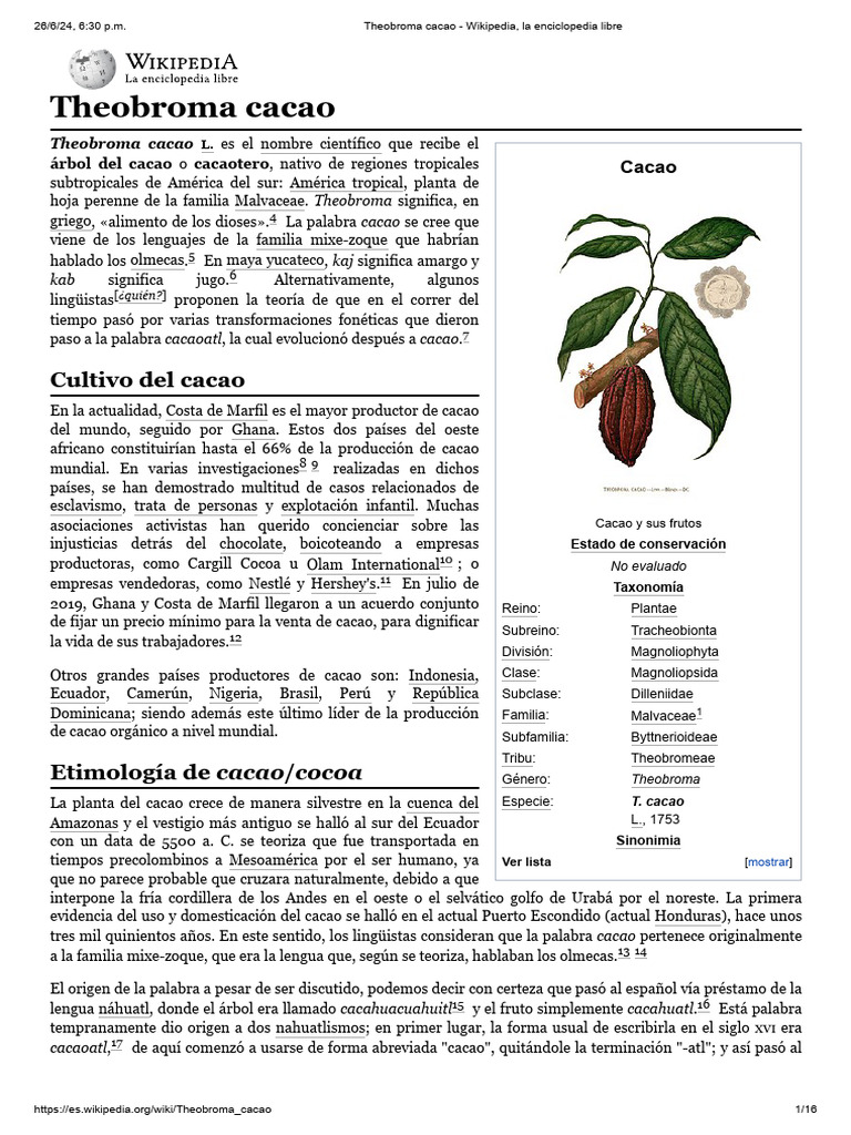 Theobroma Cacao | PDF | Chocolate