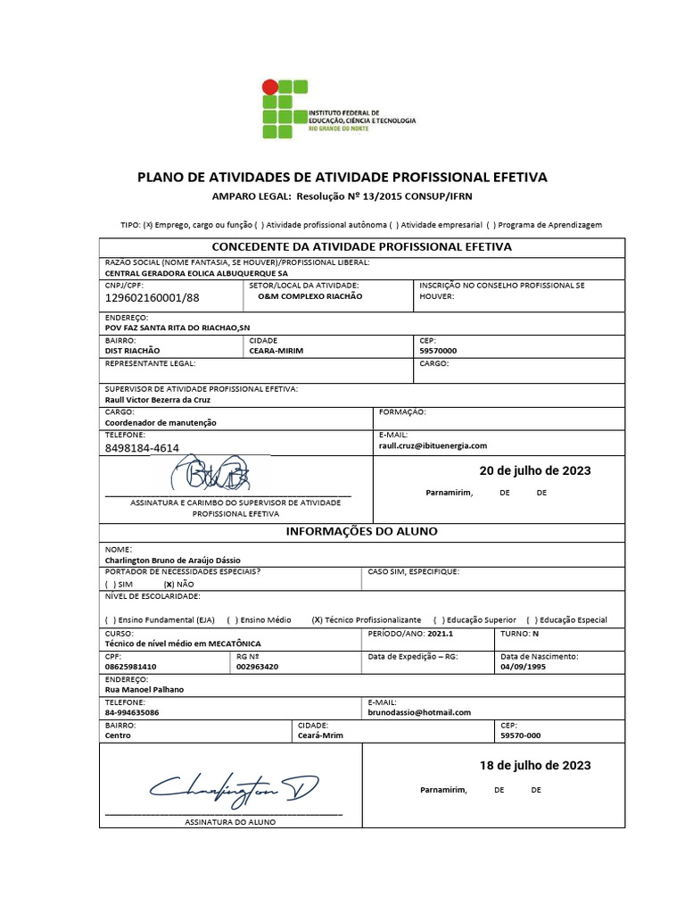 Plano de atividades_Pratica Profissional final | PDF