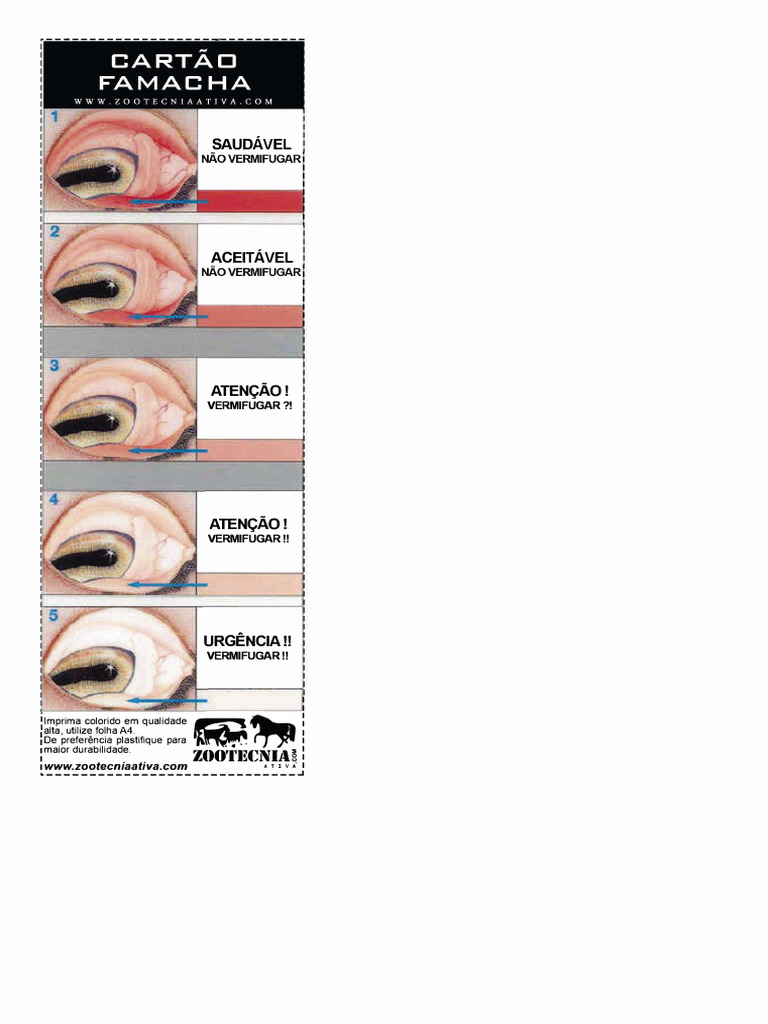 Cartão FAMACHA para Imprimir | PDF