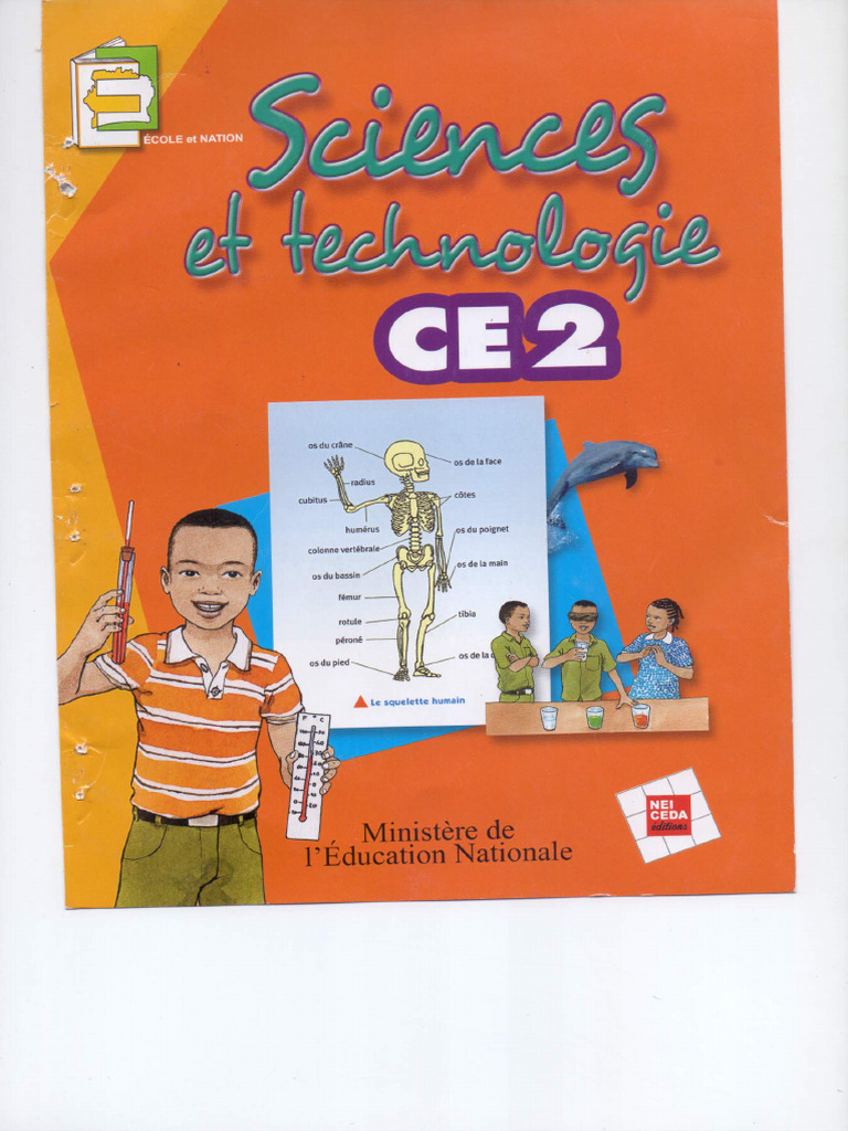 Sciences Et Technologie CE2 | PDF