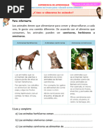 Ficha 22conocemos Las Caracteristicas de Los Animales | PDF