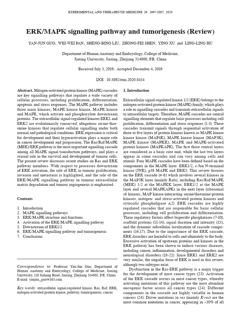 ERK - MAPK Signalling Pathway and Tumorigenesis (Review) | PDF ... ERK - MAPK Signalling Pathway and Tumorigenesis (Review) | PDF ...