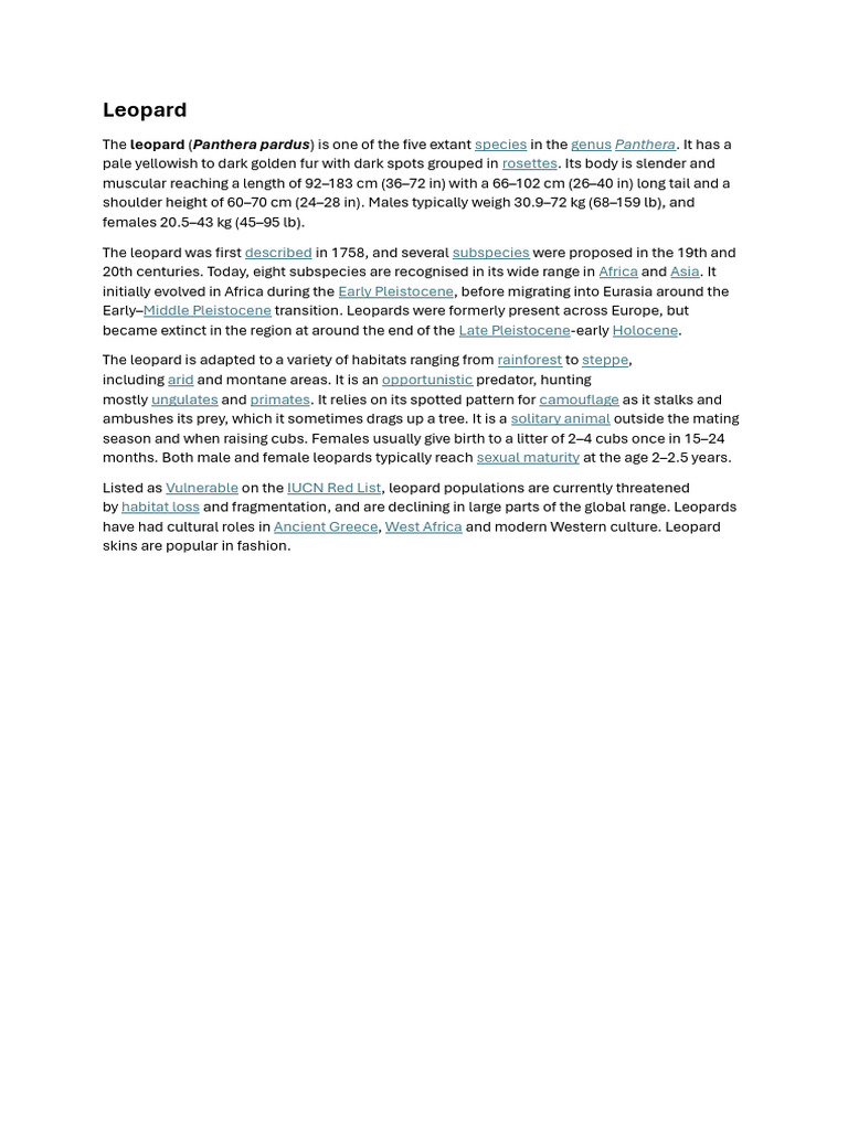 Leopard | PDF | Home & Garden | Science & Mathematics