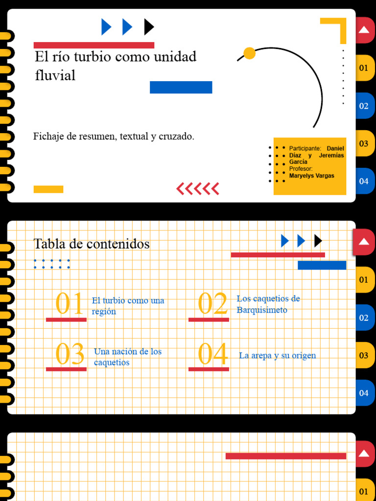 El Río Turbio: Geografía y Afluentes | PDF | Río | Andes