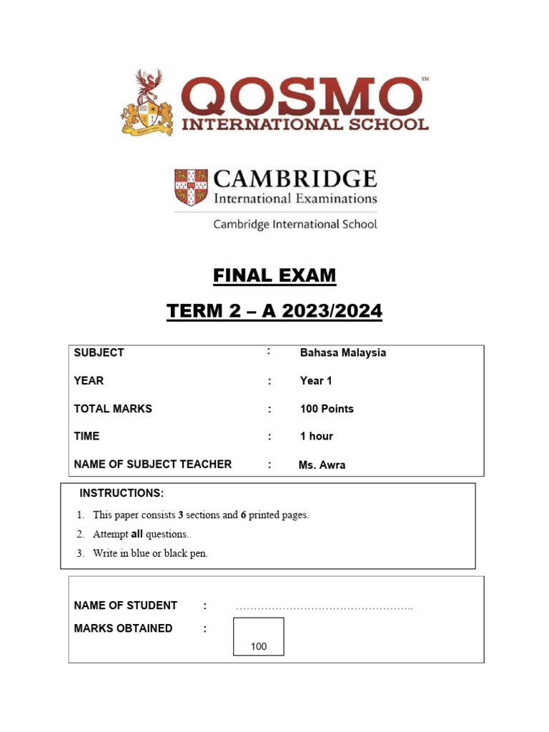 FINAL EXAM Year 1 | PDF