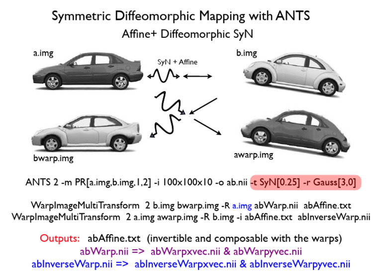 Ants Syn | PDF | Teaching Methods & Materials | Computers