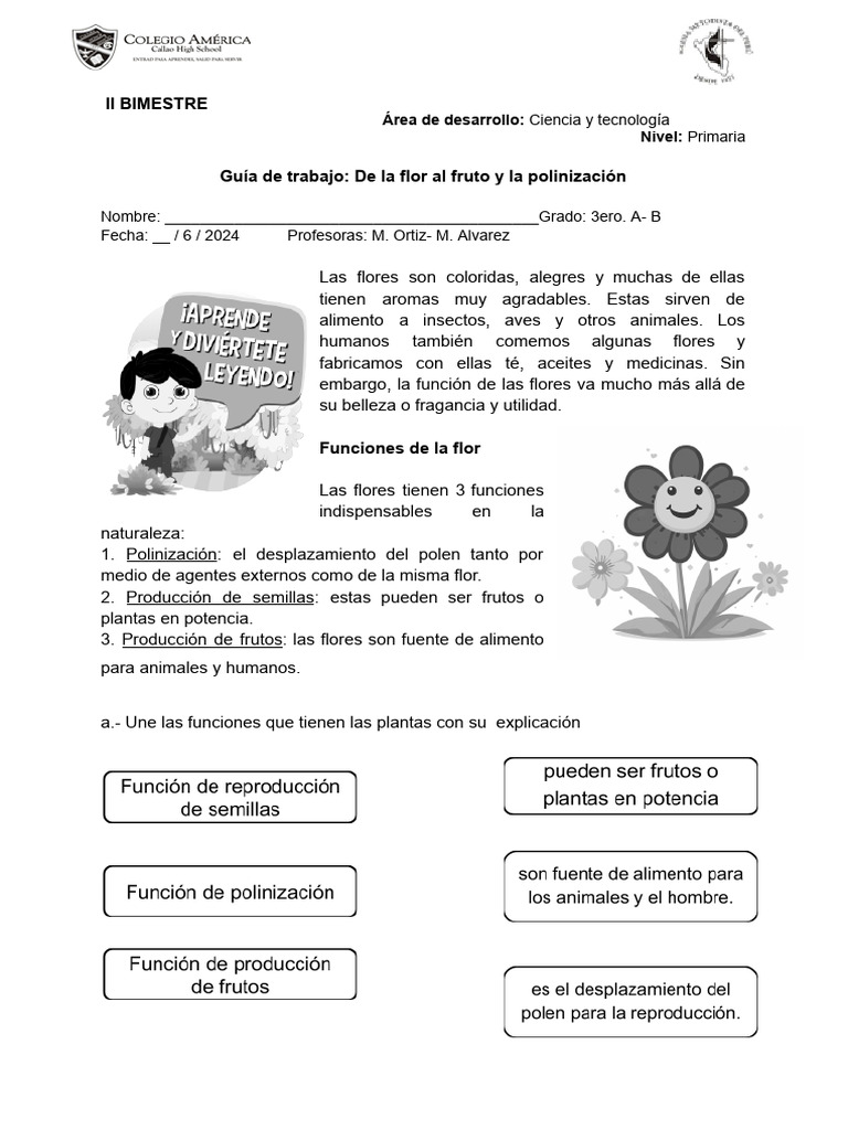 Guía de Trabajo - de La Flor Al Fruto y La Polinización | PDF | Flores ...