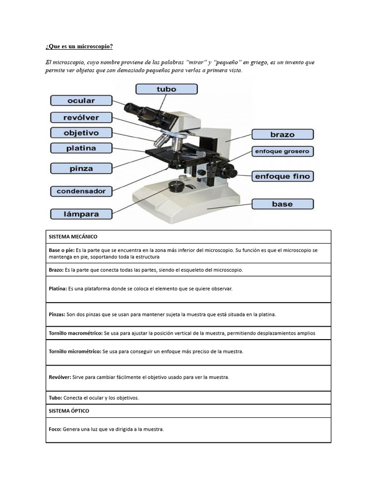Microscopio y Normas de Seguridad en Lab | Descargar gratis PDF ...