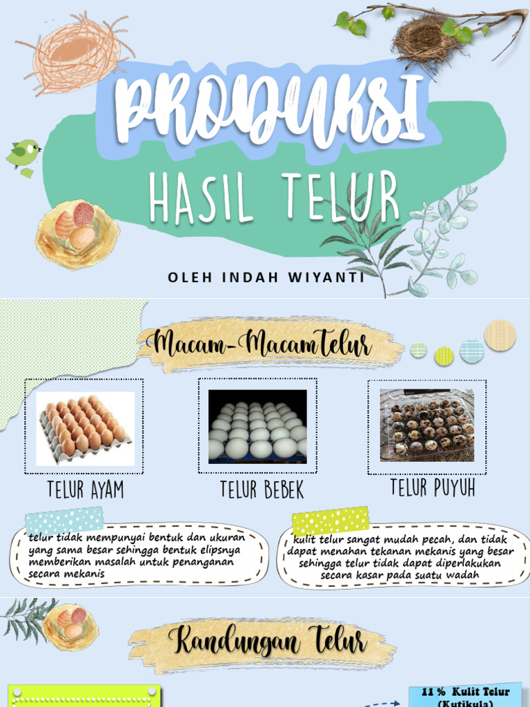 1 Telur Dan Macam-Macamnya | PDF | Sains & Matematika