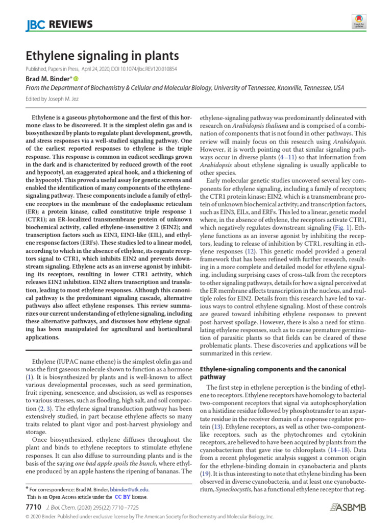 Signaling of Ethylene | PDF | Cell Signaling | Signal Transduction