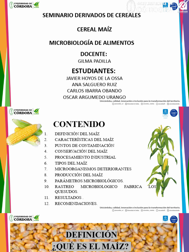 Seminario Micro Alimentos Terminado-1 | PDF | Maíz | Cereales