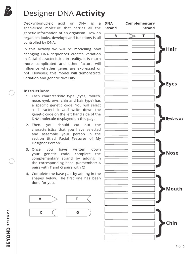Designer DNA Activity | PDF | Genetics | Dna