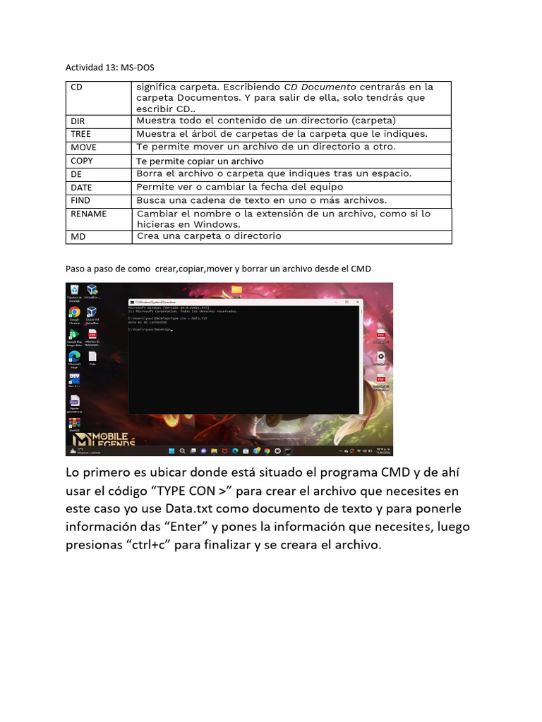 Actividad 13 MS-DOS | PDF