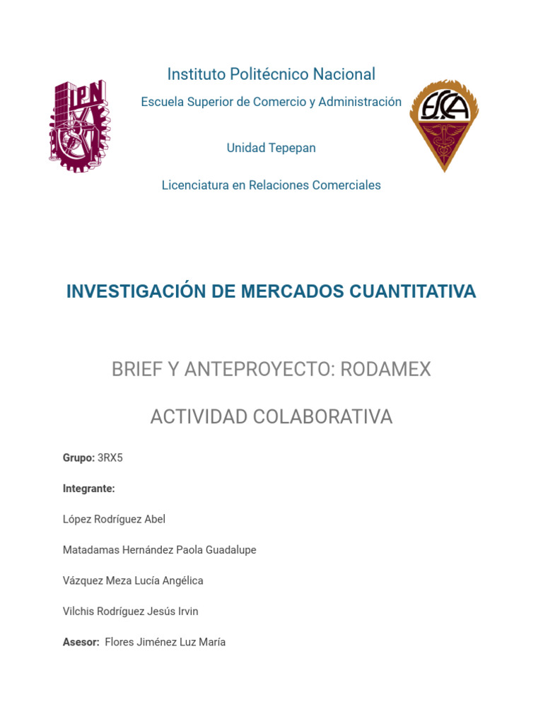 U2 Act1 Brief Antiproyecto | PDF | Business | Investigación de mercado
