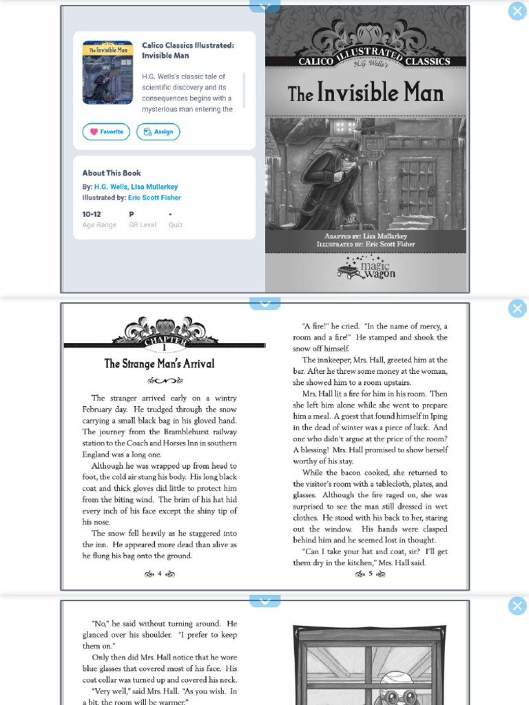 The Invisible Man | PDF