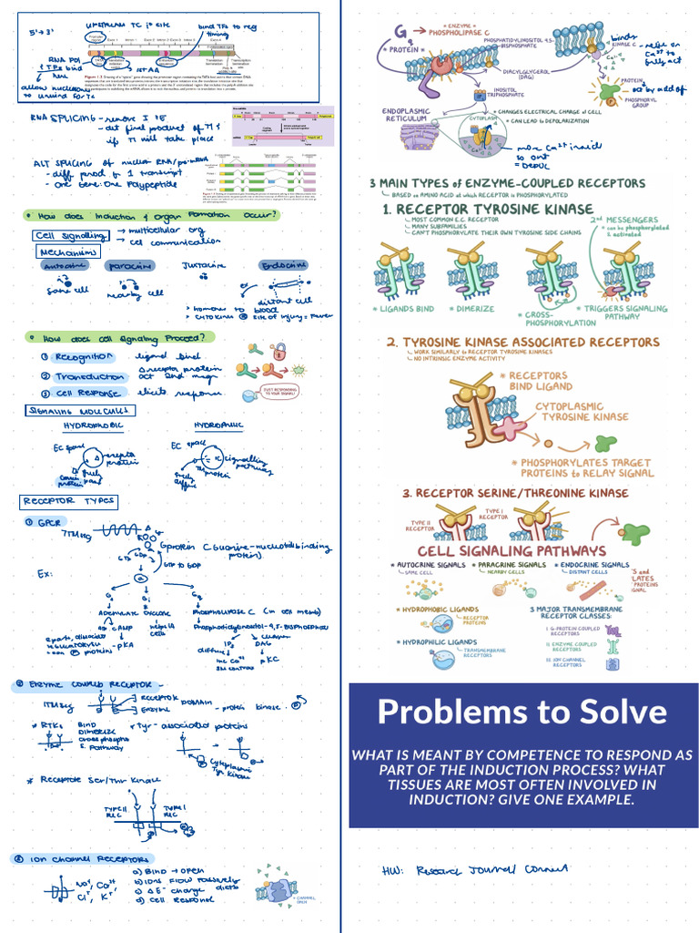 DevBio Lec Intro Part 2 | PDF | Cell Signaling | Biology