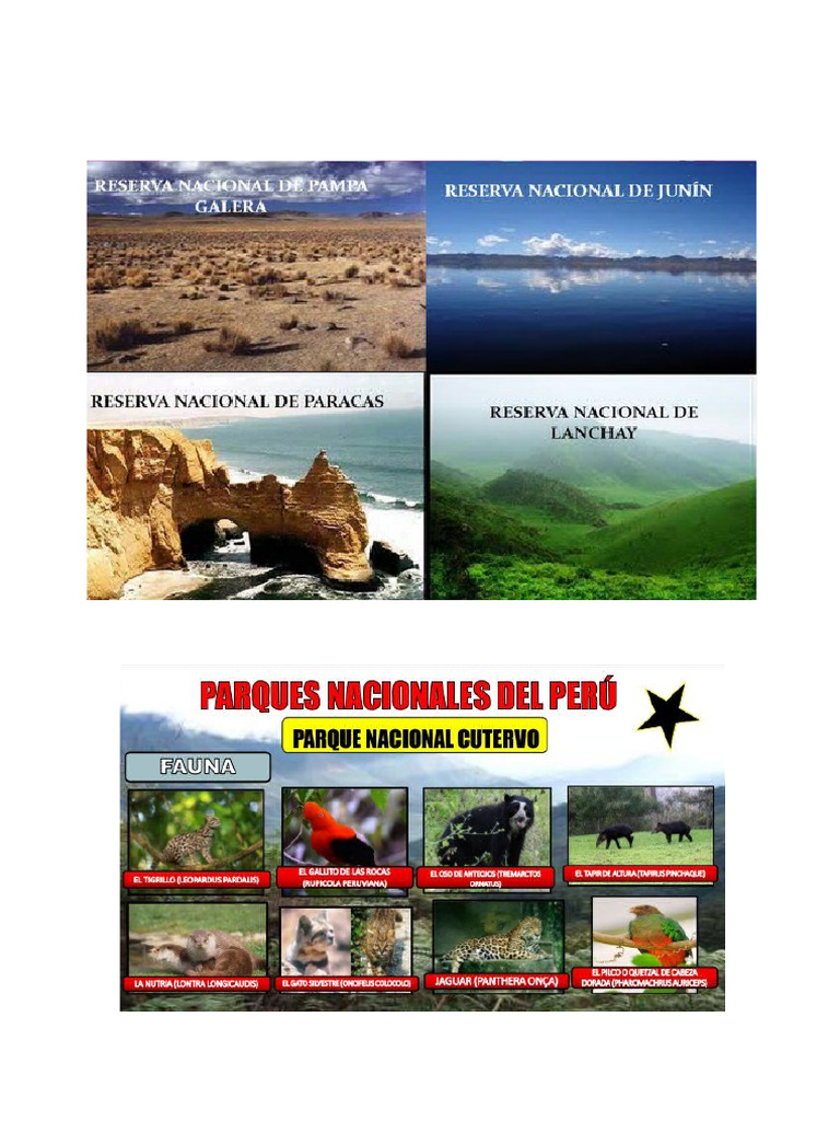 Parques y Reservas Del Peru | PDF