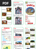 Tríptico Región Costa Ucayali | PDF | Viajes