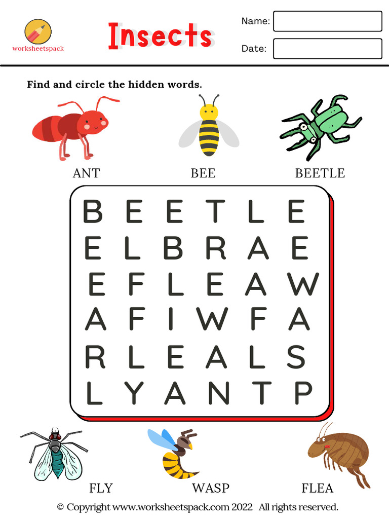 Insects Worksheets Word Search | PDF