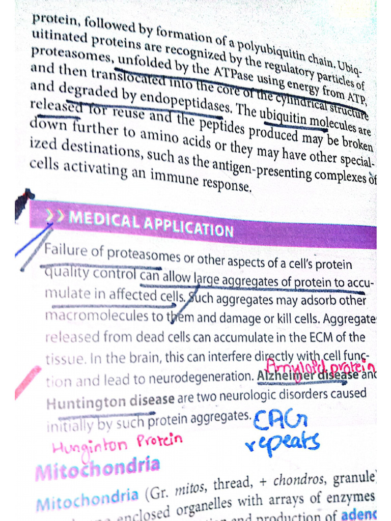 Histo Clinicals | PDF