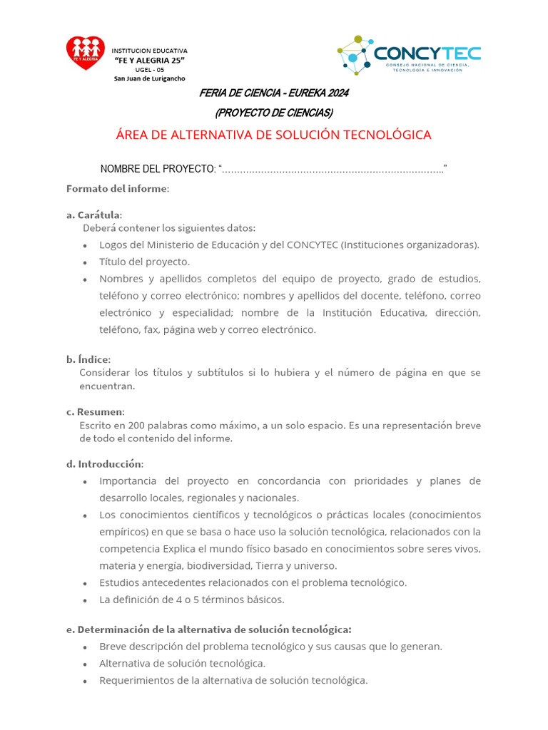 Esquema de Informe de Proyecto Area Solucion Tecnologica | PDF | Arte