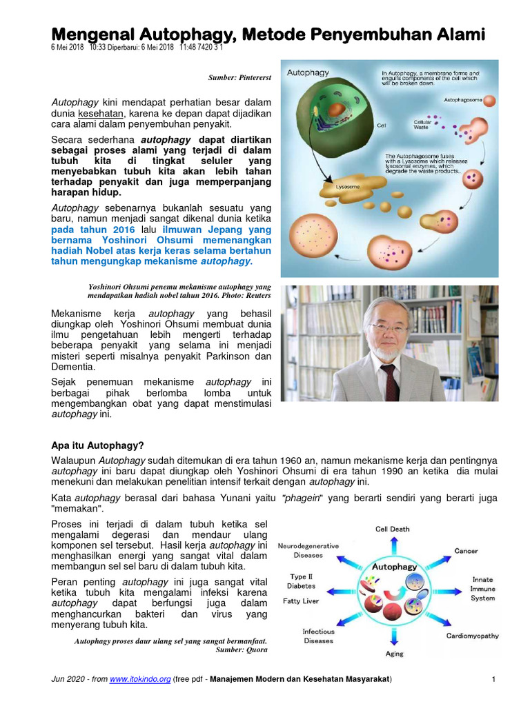 Metode Autophagy | PDF