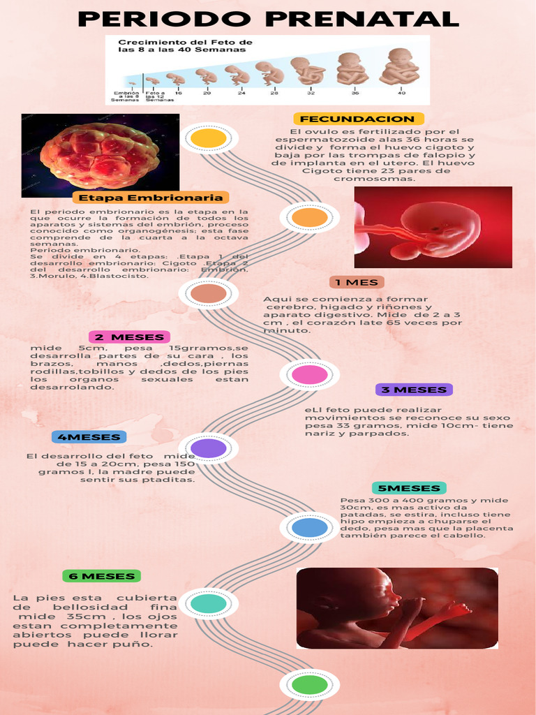 Infografía de Línea de Tiempo Timeline con Años Fechas Multicolor ...
