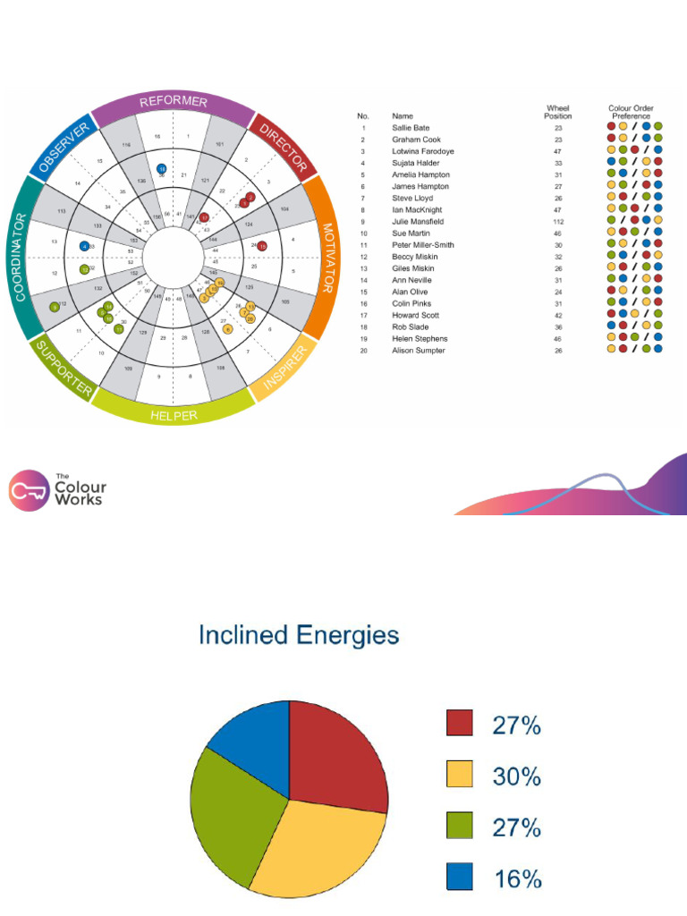 Insights Discovery Team Wheel | PDF
