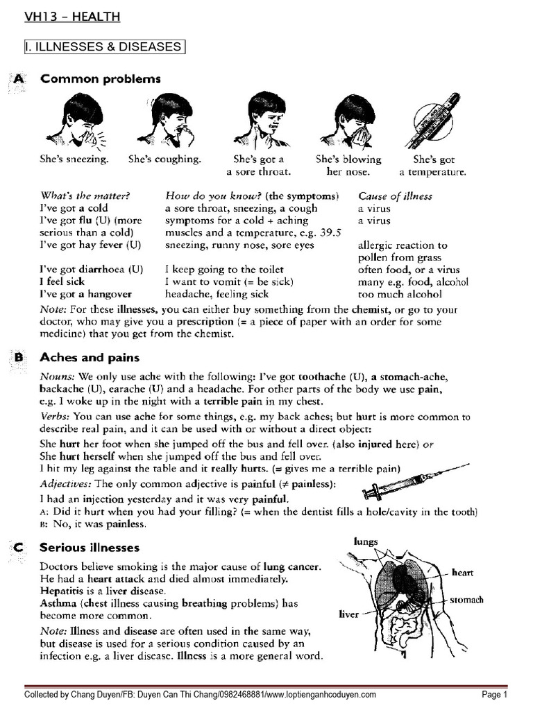 Health Illnesses and Injuries Guide | PDF