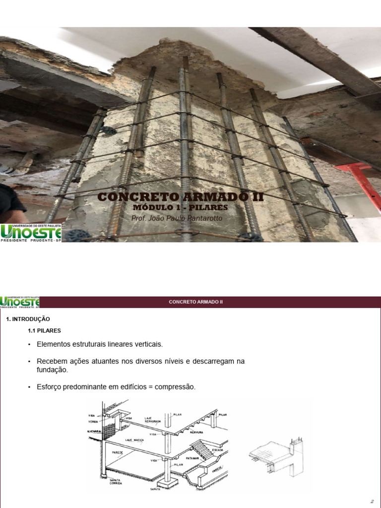 Modulo 2 Pilares | PDF | Flexão (Física) | Flambagem