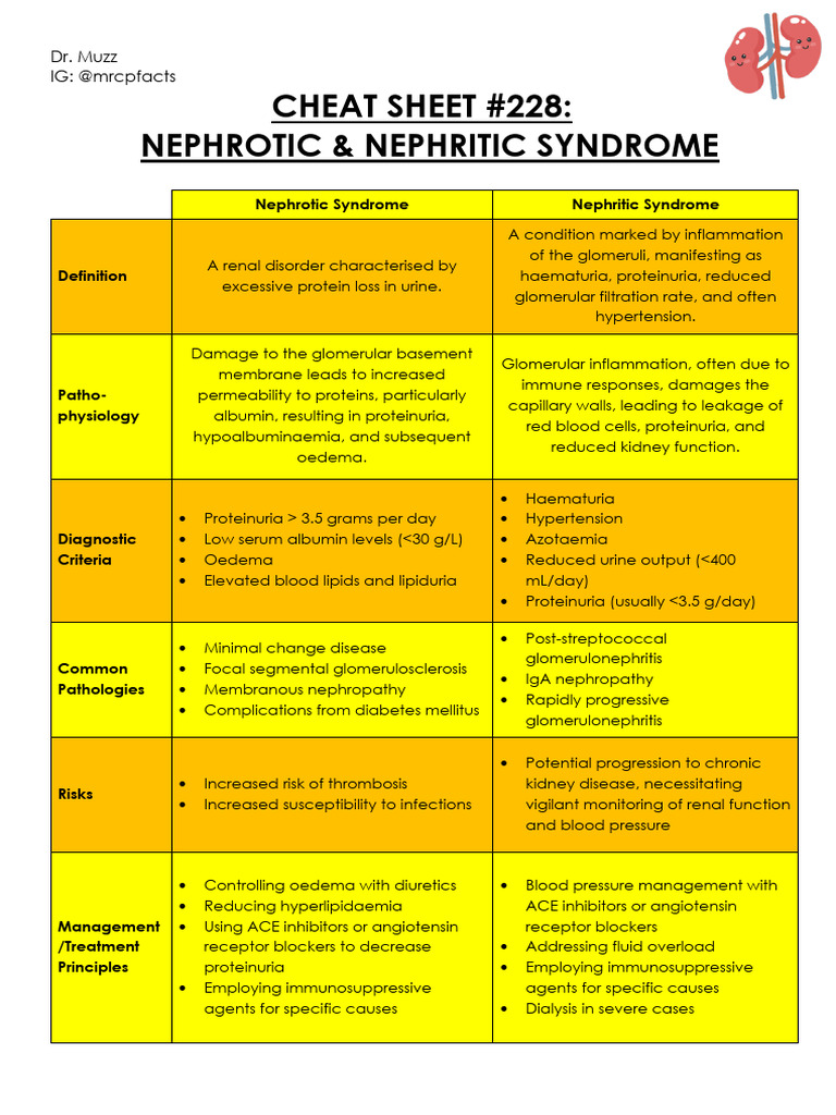 Cheat Sheet #228 - Nephrotic & Nephritic Syndrome | PDF | Diseases And ...