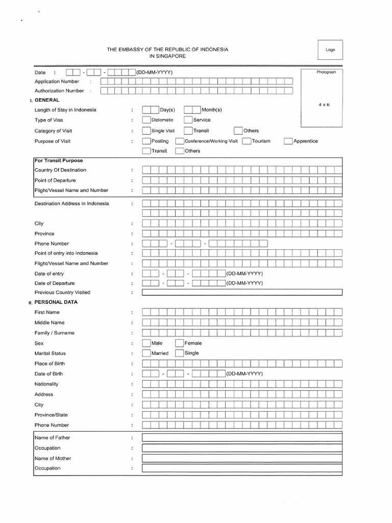 Form Visa | PDF