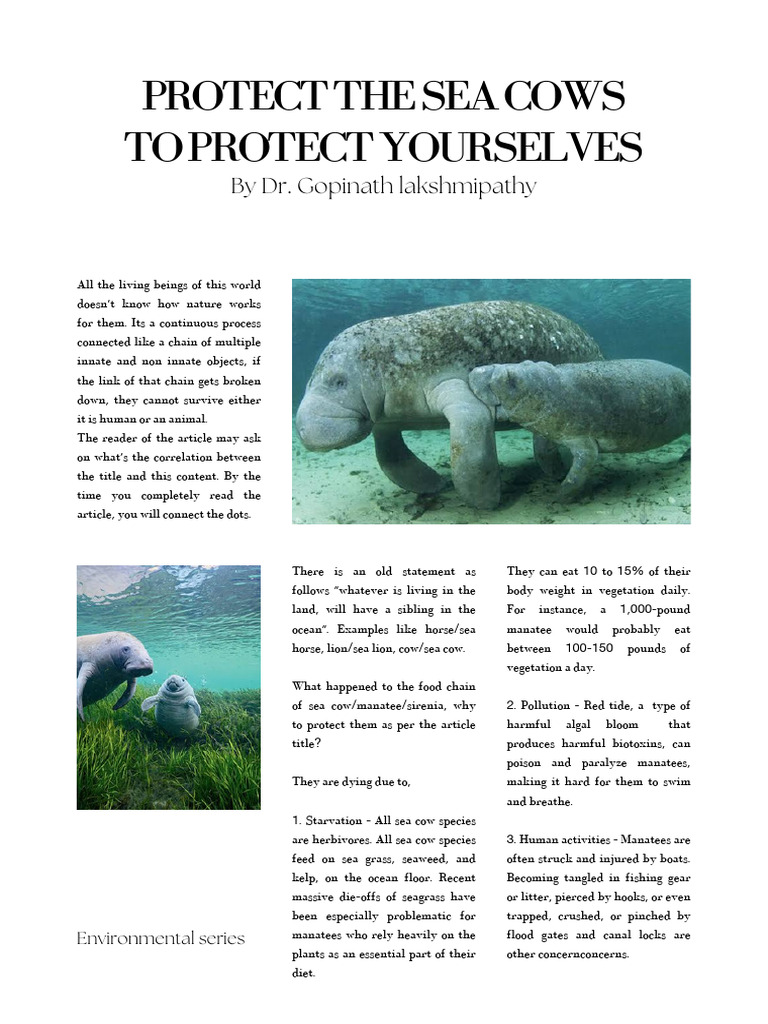 Save Sea Cows | PDF | Sea | Coast