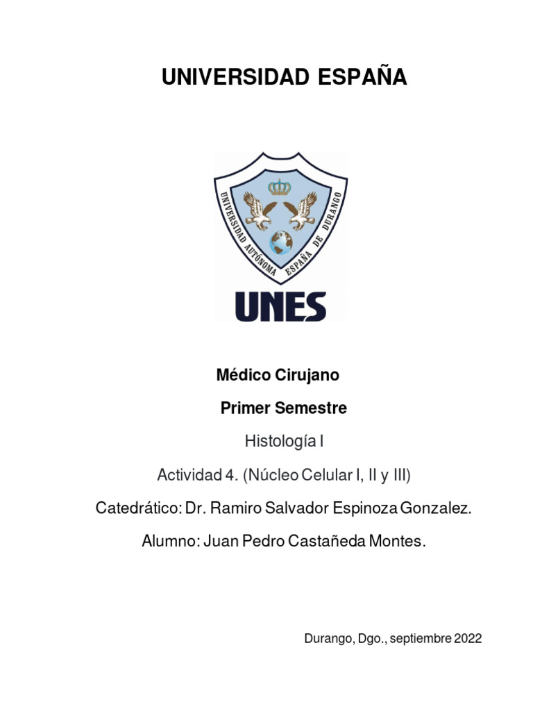 Actividad 4. NUCLEO CELULAR I, II y III | PDF | Nucleo celular | Mitosis