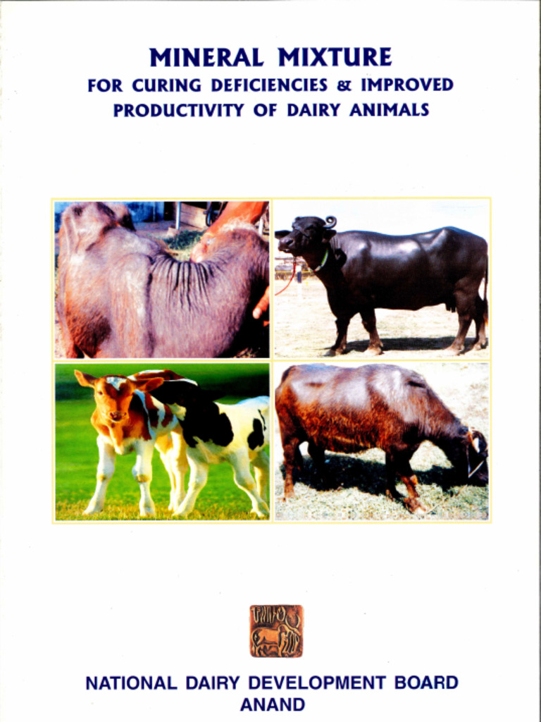 Mineral Mixture | PDF