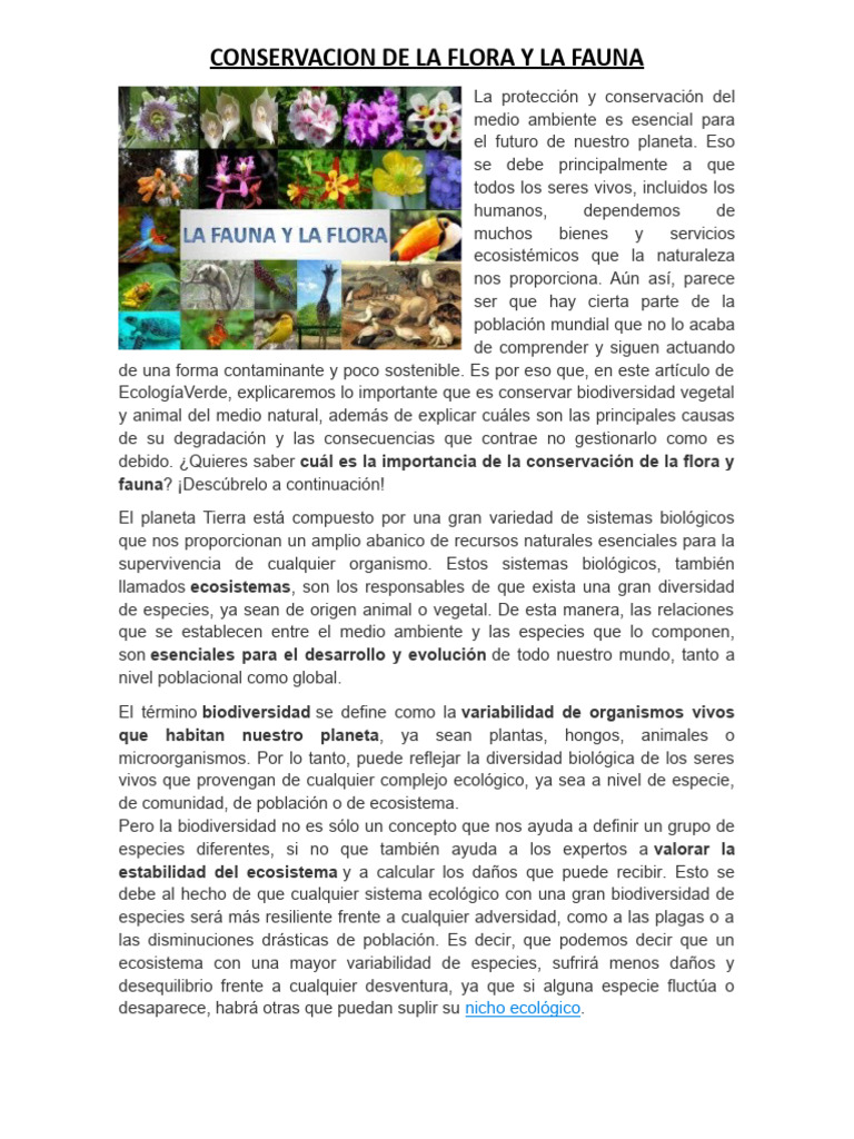 Conservacion de La Flora y La Fauna | PDF | Biodiversidad | Biología de ...