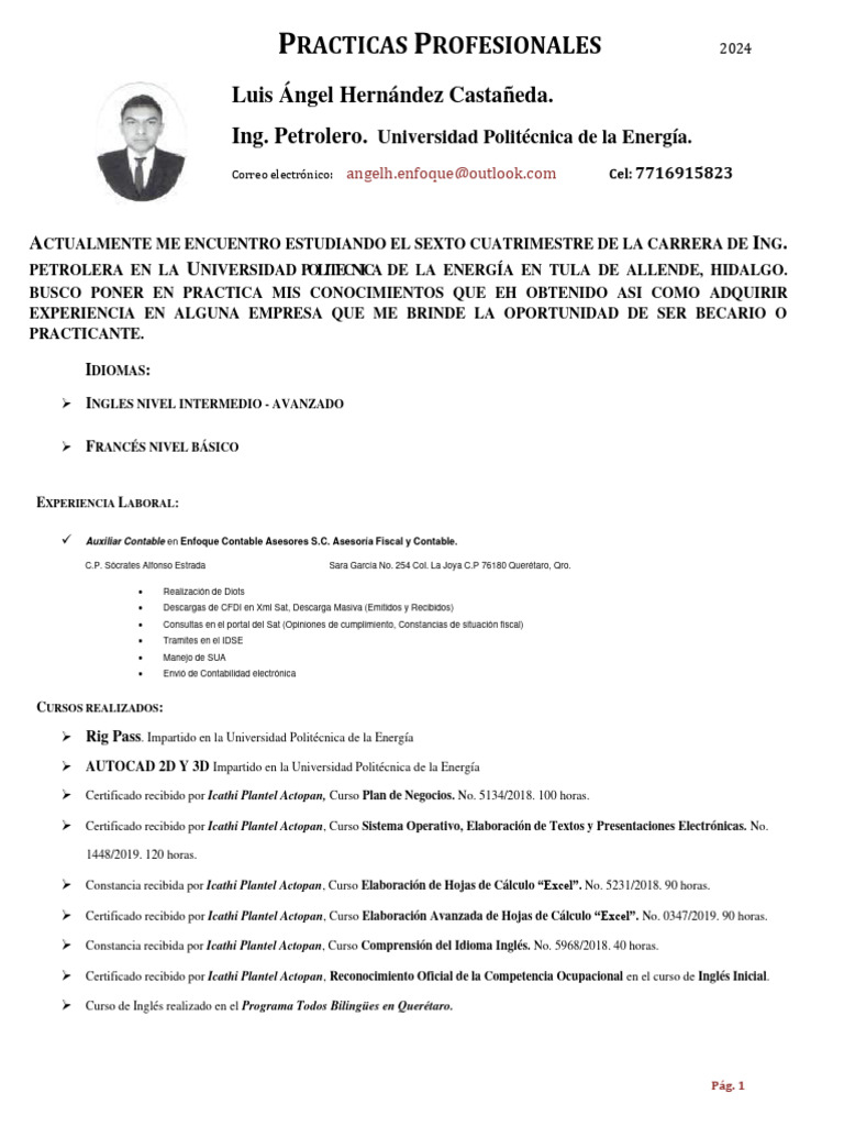 CV Luis Angel Hernandez Castañeda | PDF | Contador