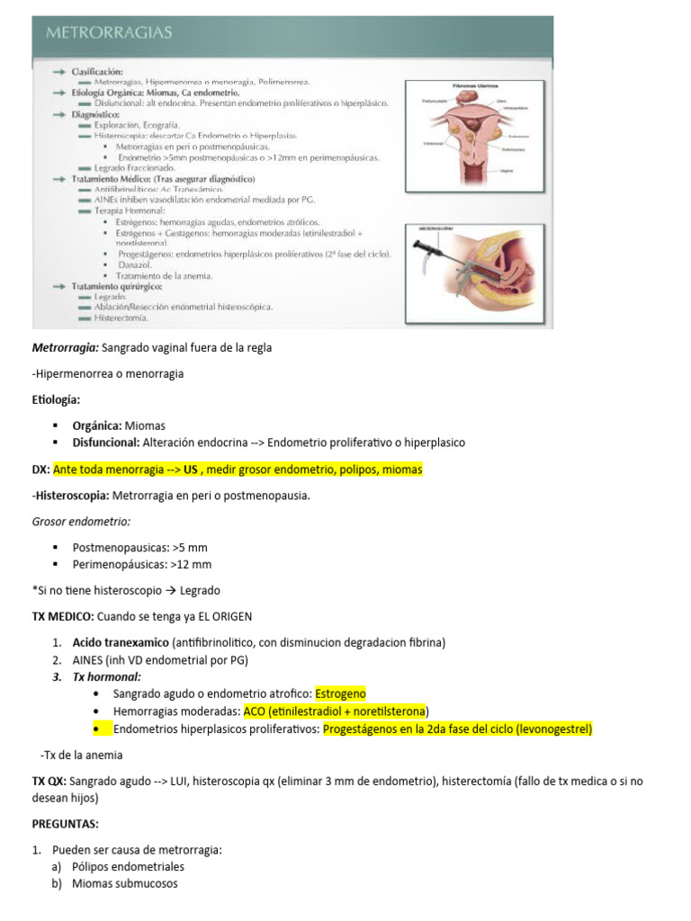 METRORRAGIA | PDF | Relaciones personales, crianza y desarrollo ...