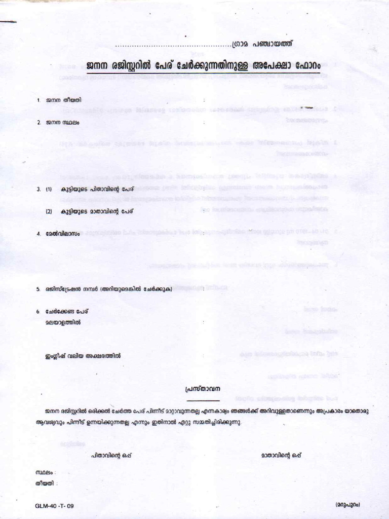 Birth Name Inclusion | PDF
