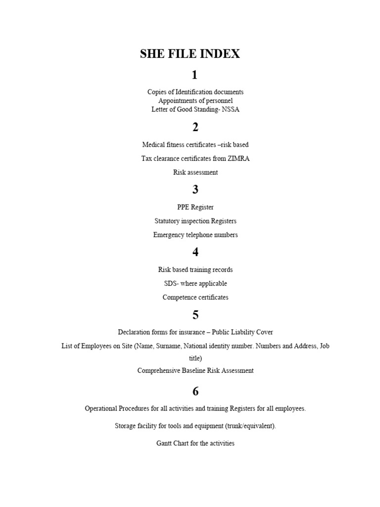 She File Inex | PDF | Safety