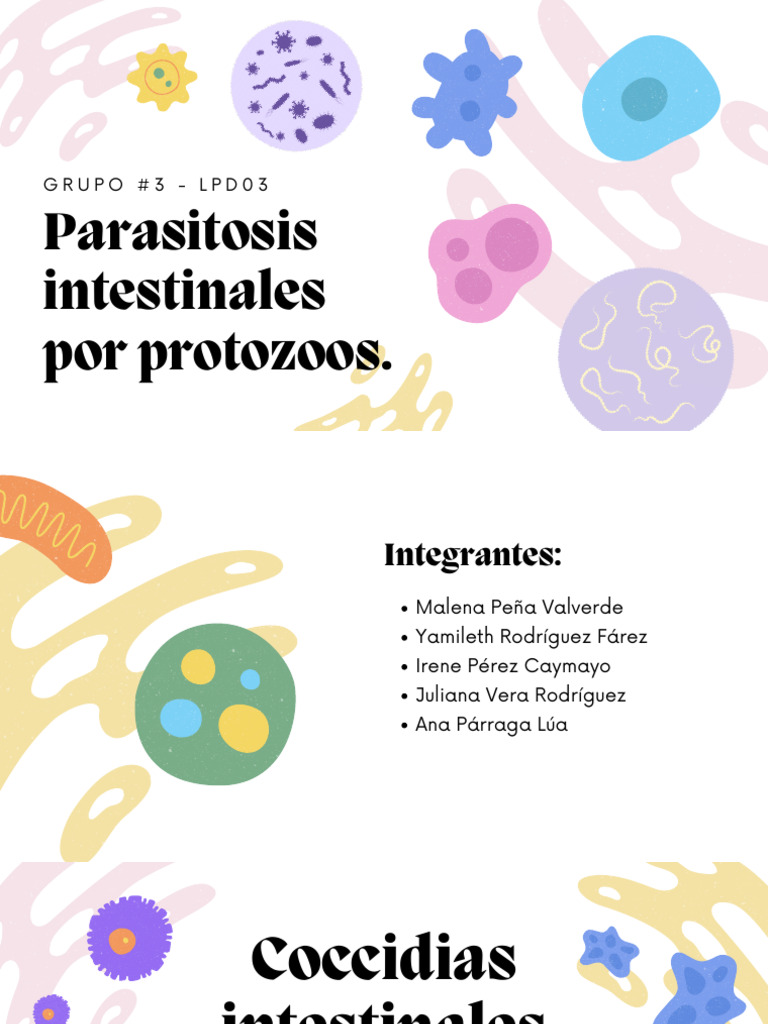 Parasitosis Intestinales Por Protozoos. Grupo #3. LPD03 | PDF ...