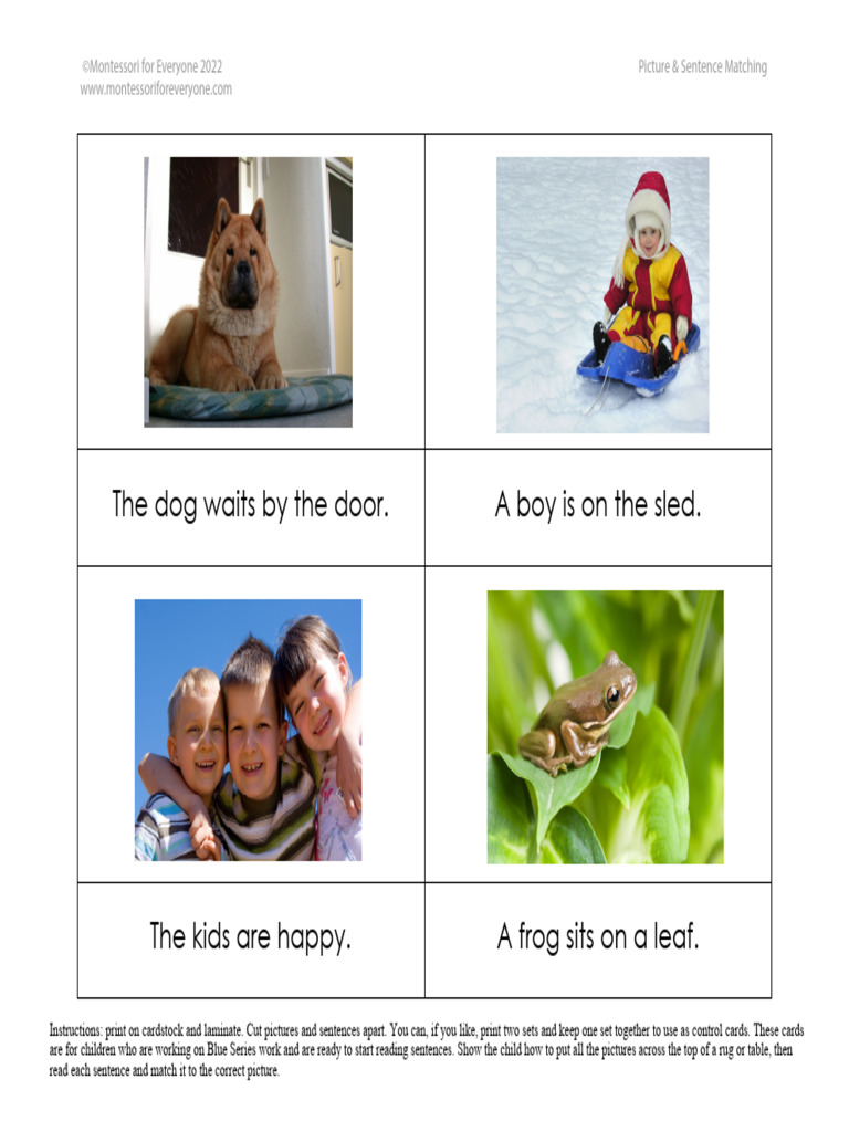 Picture_Sentence_Matching | PDF