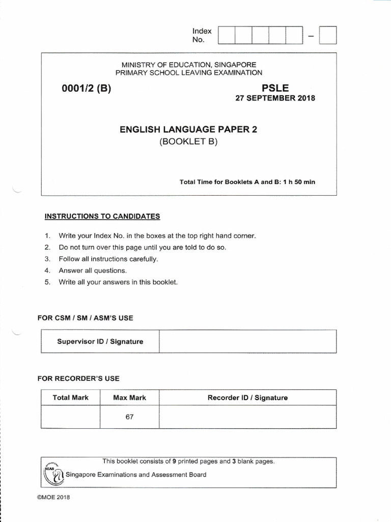 PSLE English 2018 Paper 2 Booklet B | PDF | Giraffe