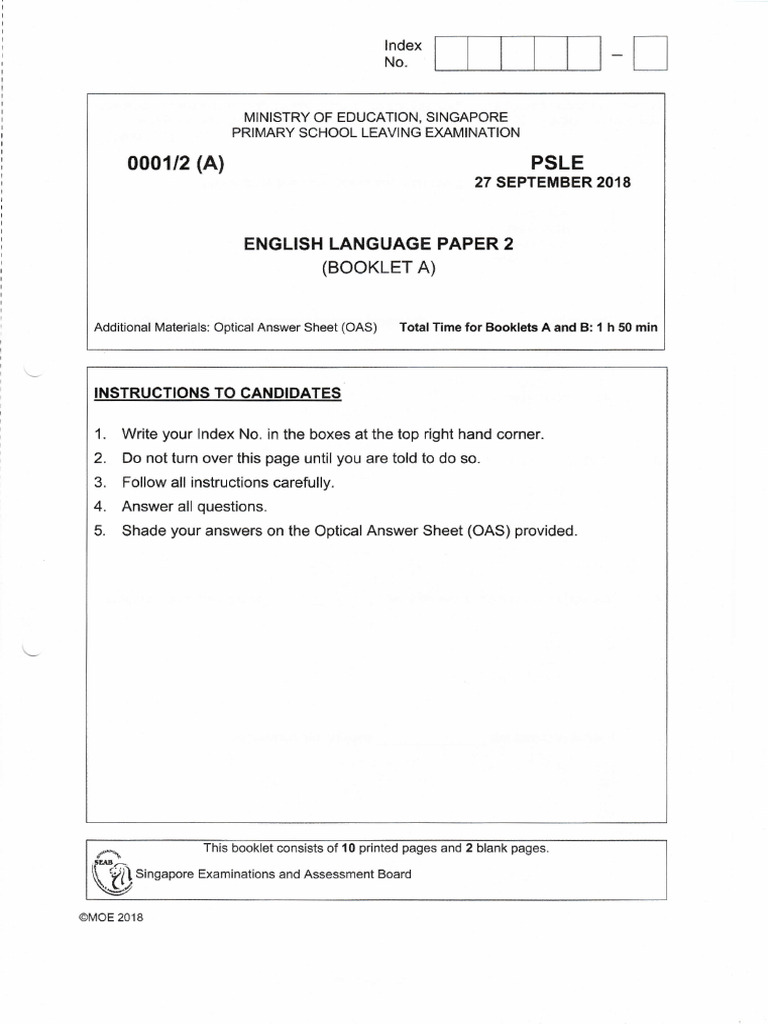 PSLE English 2018 Paper 2 Booklet A | PDF