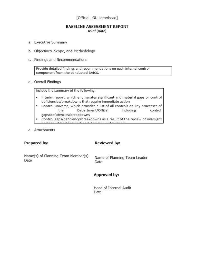 Baseline Assessment Report | PDF