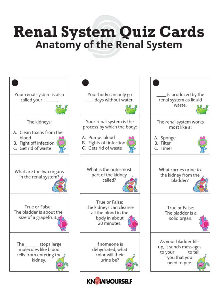 Renal System Brain Quest Free Resource | PDF | Kidney | Urinary System