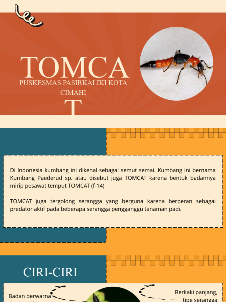 Ciri dan Penanganan Gigitan Tomcat | PDF