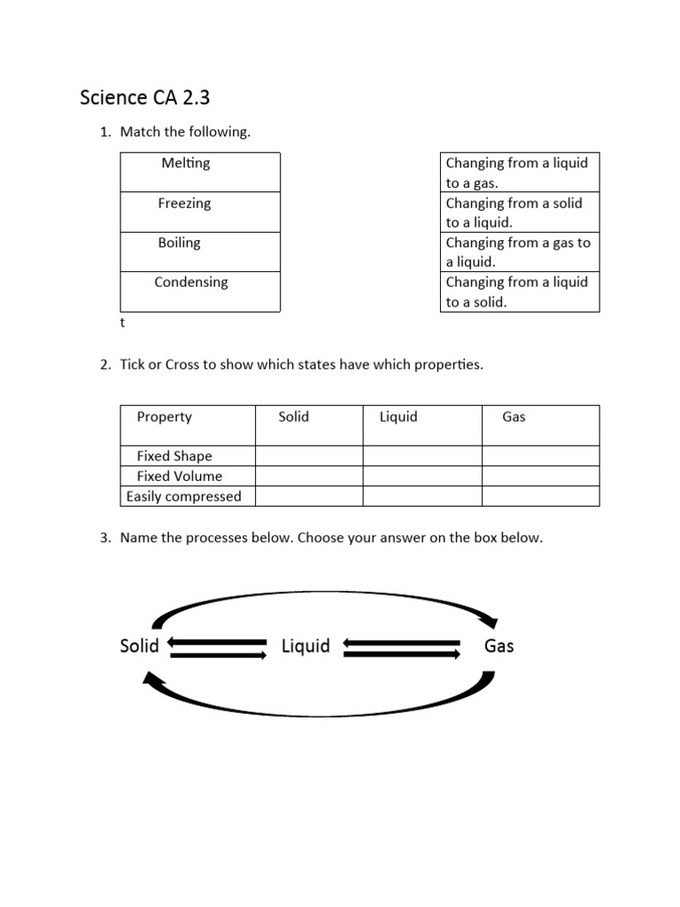 Science CA 2.3 | PDF | Foods | Liquids